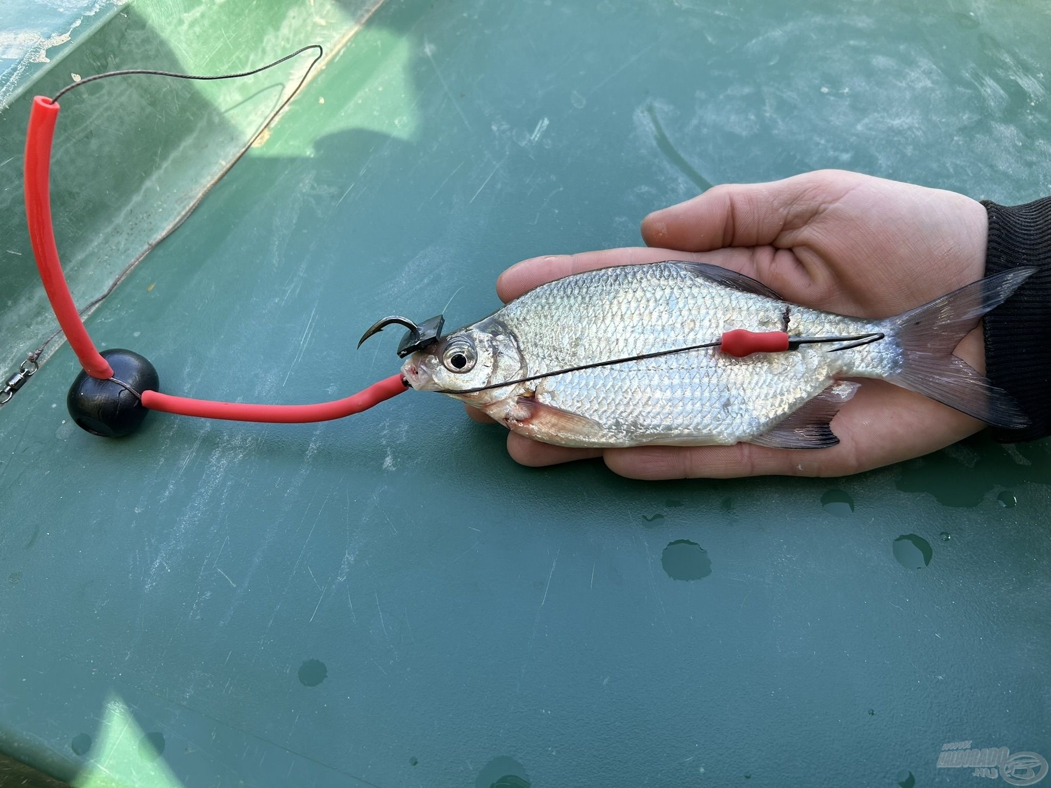 HALDORÁDÓ Catfish Rig 7 - Fireball szerelék 200 g - Haldorádó horgász ...